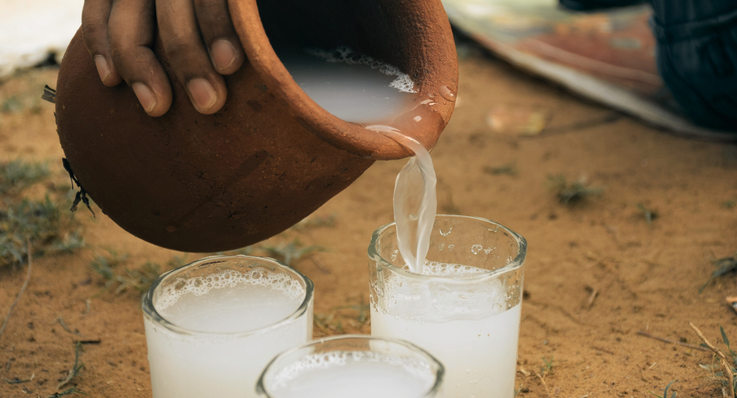 Coyol Wine: Ancestral Drink - SensorialSunsets