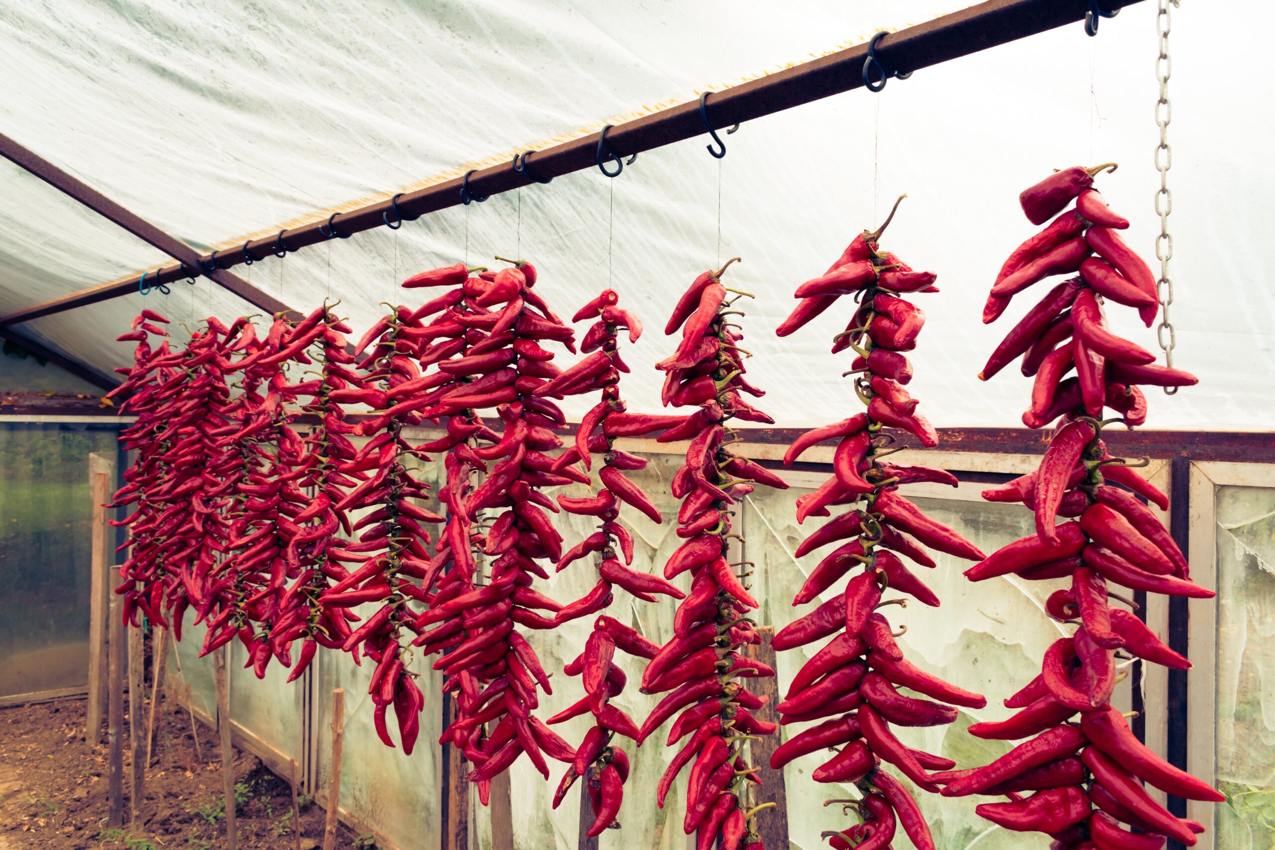 The Pepper Route: A Spicy Adventure in Heredia - SensorialSunsets