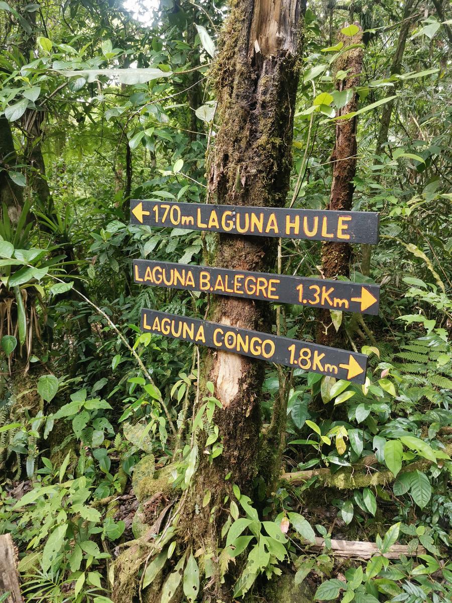 Lagunas de Costa Rica: Belleza y Diversidad Natural - SensorialSunsets