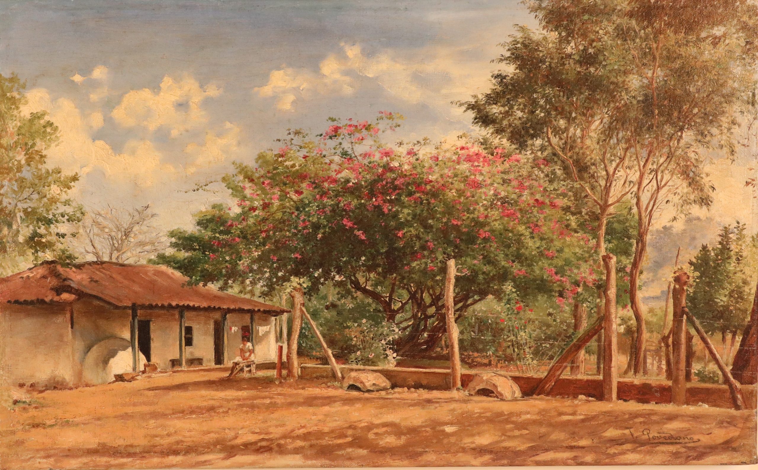 Exhibition Diverse Landscapes: Costa Rica 1890-1950 - SensorialSunsets