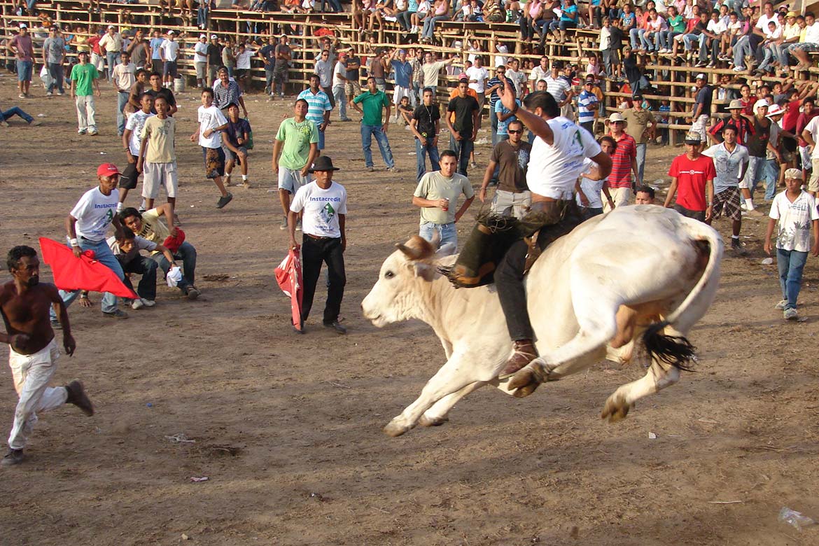Bullfighting and Topes in Costa Rica: Tradition and Controversy